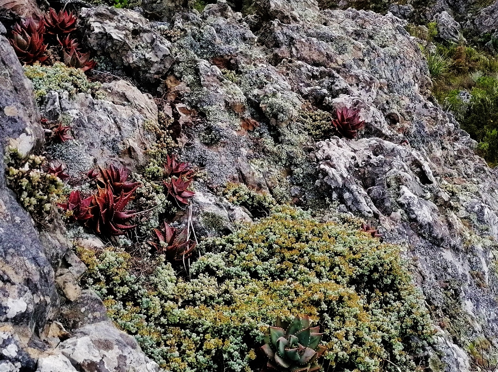 Trails – MONT ROCHELLE NATURE RESERVE